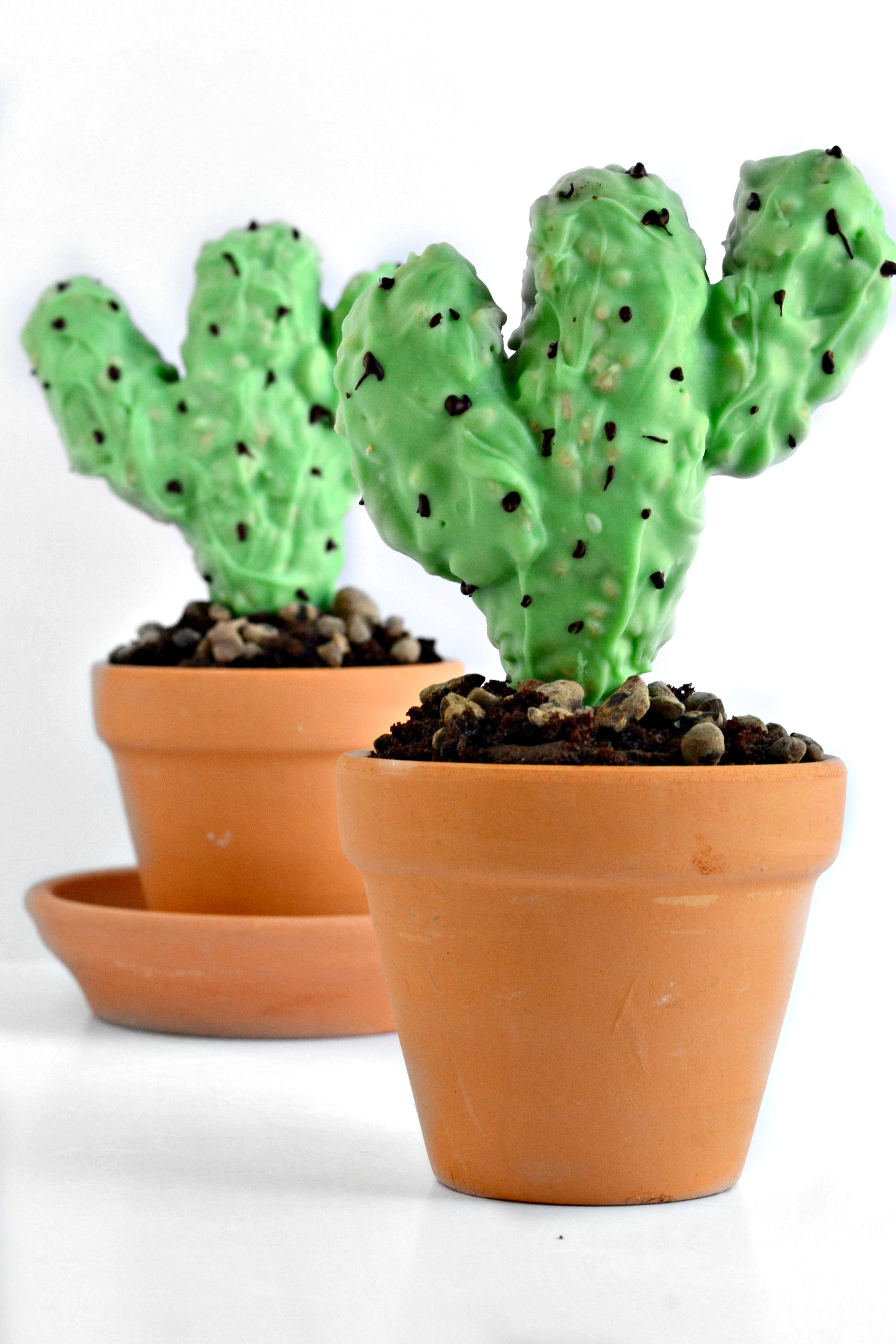 Homemade Cactus Cupcakes - Fork and Beans